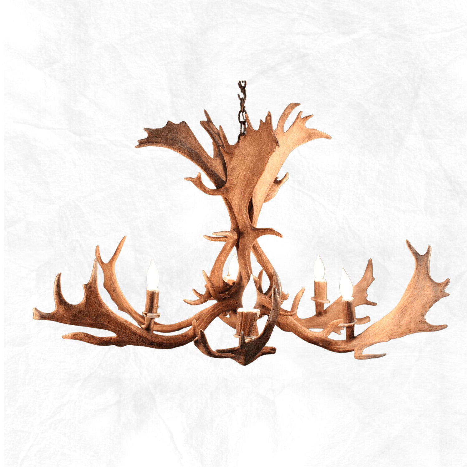 6 Light Fallow Antler Chandelier – K Kircher Home